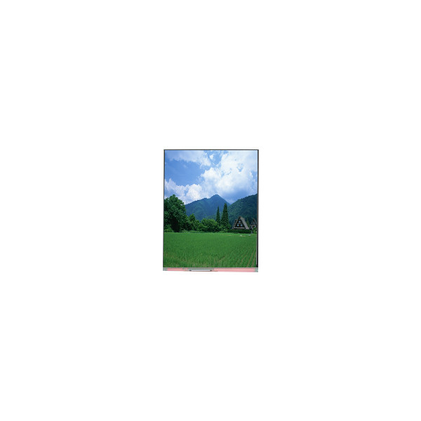 PP057IC-01A 5.7 inch 1080*1920 LCD Screen lcd Panel